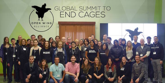 Œufs de batterie : avalanche d'engagements des entreprises de l ...